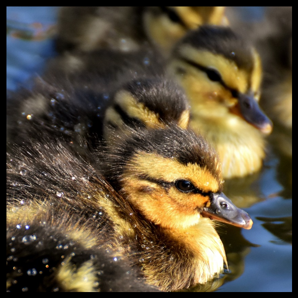 🌄 Spring 2024 🌄 | Mountain SOL